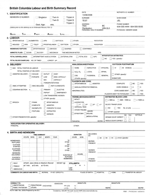 Obstetric Care Screenshots - World EMR